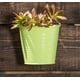 Rust-Oleum Stops Rust Advanced Gloss Willow Green Protective Enamel ...