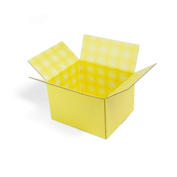 Great Papers!, GiftIn Corrugated Shipping Box, 12" x 10" x 8", 2-pack ...