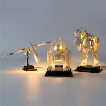 USB Powered LED Lighting Kit For Dinosaur Fossils 21320 Blocks ...