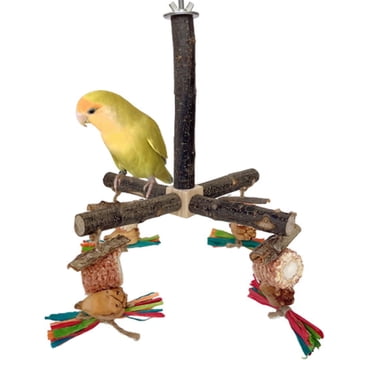 Wood Bird Stand Perch Natural Tree Branch Paw Grinding Standing ...
