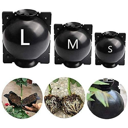 Plant Root Growing Box, Reusable Plant Rooting Device, High-Pressure ...