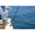 PENN International VI Casting Fishing Rod - Walmart.com