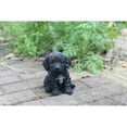Hi-Line Gifts 6.25" Cockapoo Puppy Outdoor Garden Statue - Walmart.com