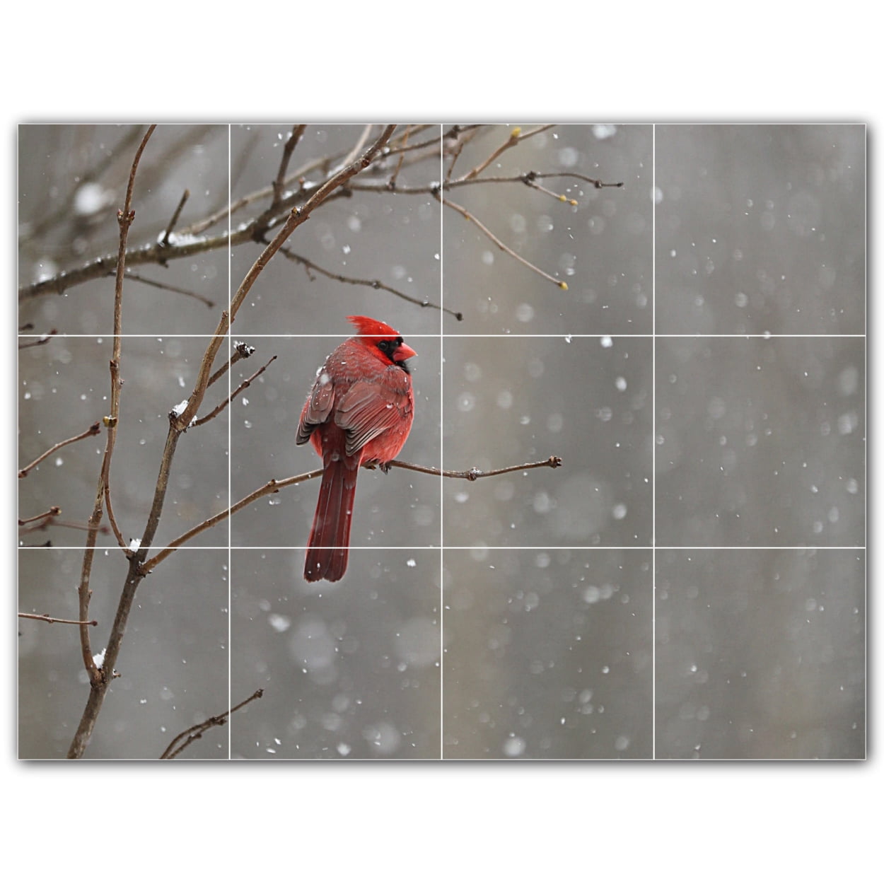Picture-Tiles.com: Bird Ceramic Tile Wall Mural WAL500141-43M. 24"W x ...
