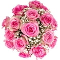 Arabella Bouquets, Fresh Cut 18 Pink Roses with Baby's Breath in Vase ...