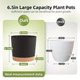 NOBRAND Round White Flower Pot with Removable Bottom 2 Count - Walmart.com