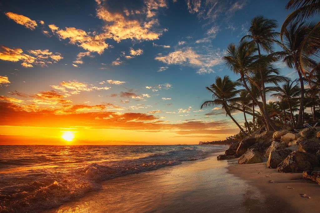 Laminated Sunset Over Tropical Beach Palm Tree Ocean Photo Photograph ...