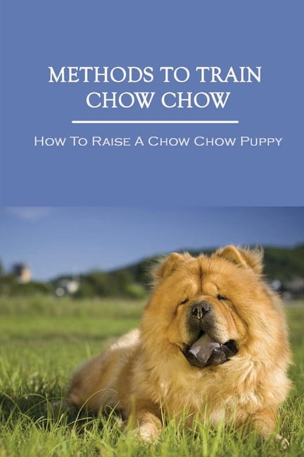How Do You Train A Chow Chow Puppy