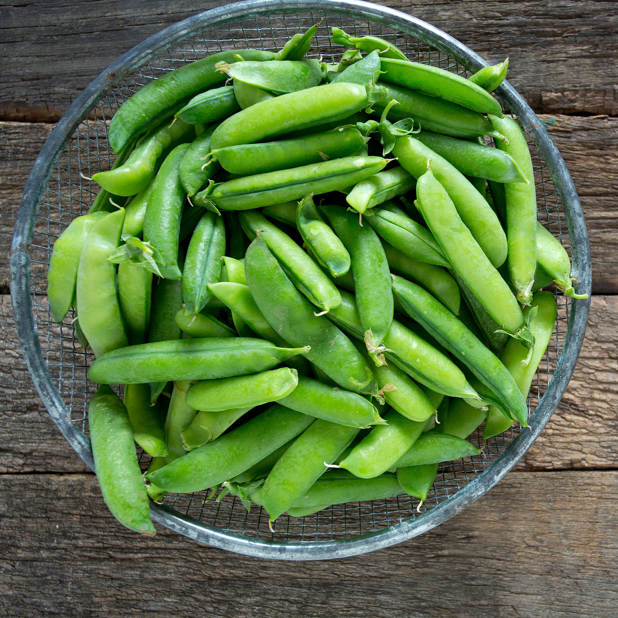 50 Seeds GREEN ARROW PEA Heirloom Shelling English Pisum Sativum ...