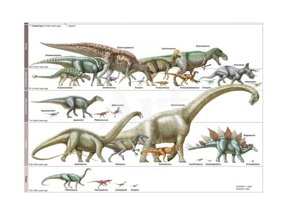 Dinosaur, Animals Unframed Art Print Wall Art by Encyclopaedia ...