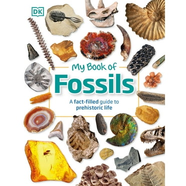 Fossils for Kids: A Junior Scientist's Guide to Dinosaur Bones, Ancient ...