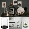 Plastic Display Case Bell Jar Set - DIY Decorative Centerpiece for ...