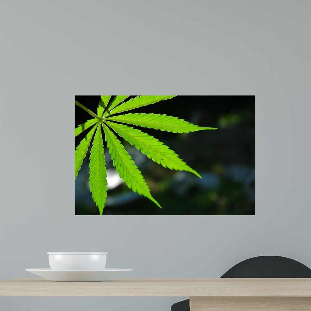Marijuana Leaf Wall Mural by Wallmonkeys Peel and Stick Graphic (18 in ...