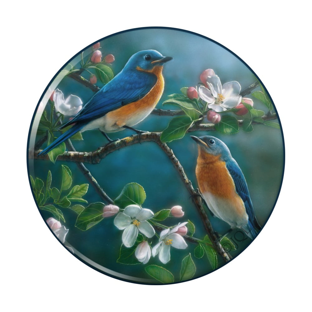 Eastern Bluebirds Blue Birds Thrush Kitchen Refrigerator Locker Button ...