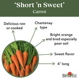 Burpee Organic Short 'n Sweet Carrot Seeds - Non-GMO, Easy to Grow ...