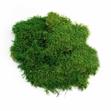 ProFlora Green True Moss Sheet, 2oz Floral Arranging Supplies - Walmart.com