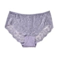 FITORON Womens Light Blue Lace Trim Mid Rise Brief Panties, Plus Sizes ...