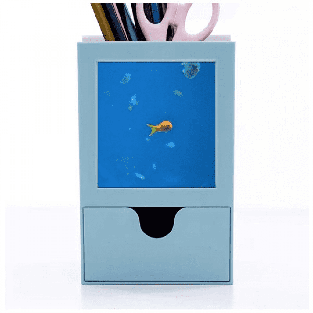 Ocean Fish Science Nature Picture Desk Supplies Organizer Pen Holder ...