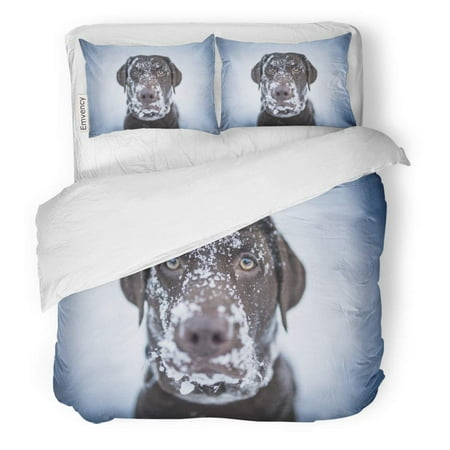 POGLIP 3 Piece Bedding Set Dog Brown Labrador Retriever Looking Funny ...