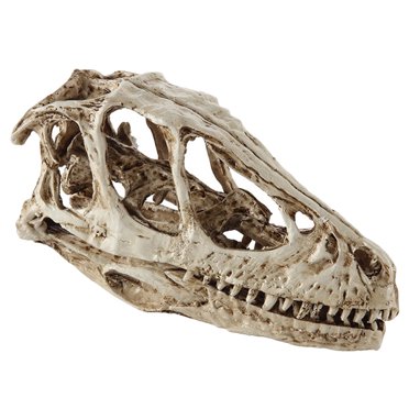 MOJO - Realistic Dinosaur Figurine, Spinosaurus with Articulated Jaw ...