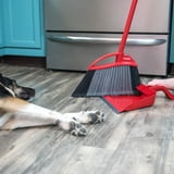 O-Cedar Pet Pro Power Corner Broom with Advanced Step-on Dust Pan for ...