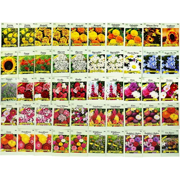 Seed Packets