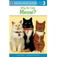 Why Do Cats Meow? (Paperback) - Walmart.com