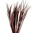 Vickerman 28" Red Splinter Grass, 11 oz Bundle, Dried - Walmart.com