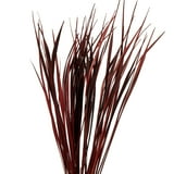 Vickerman 28" Red Splinter Grass, 11 oz Bundle, Dried - Walmart.com