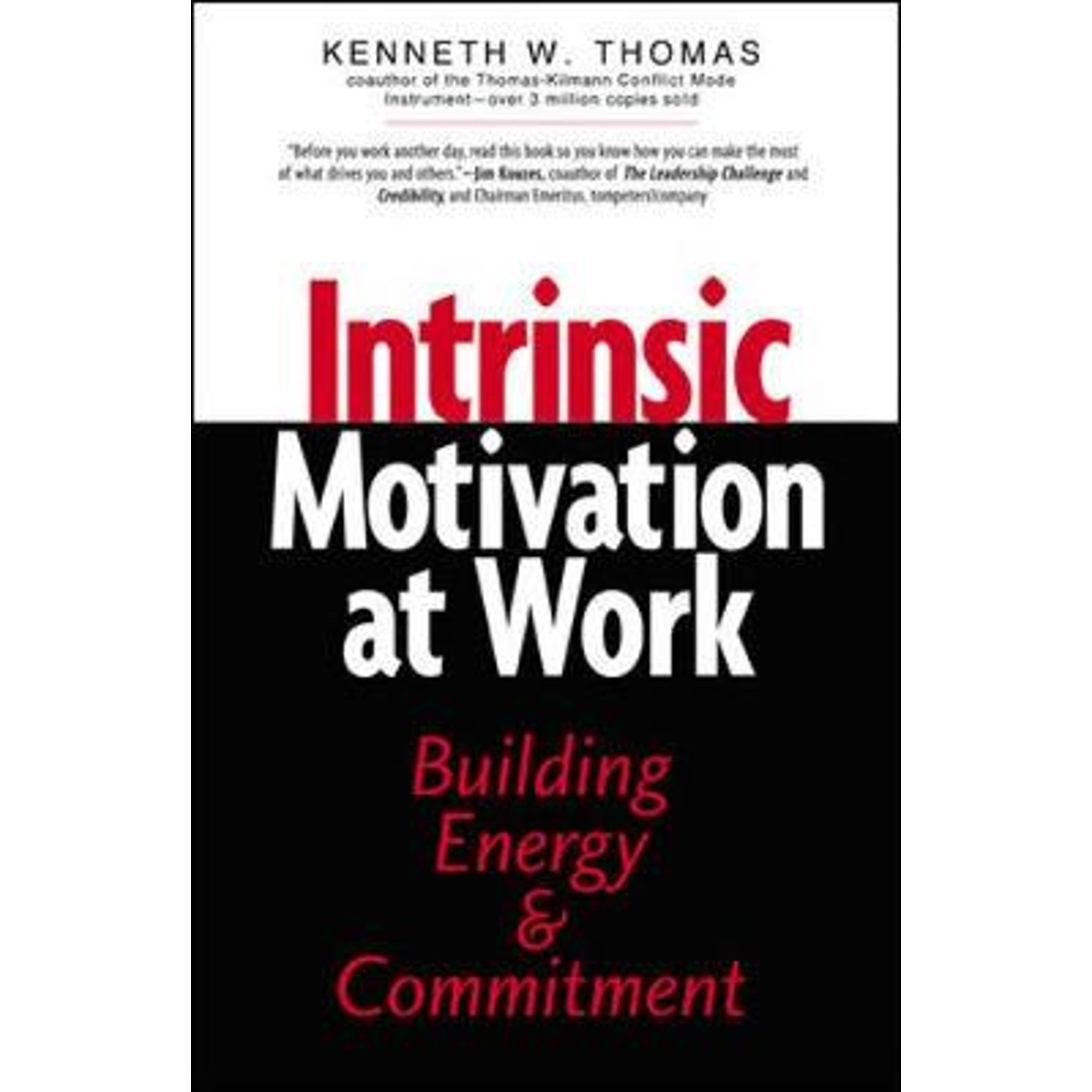 Intrinsic Motivation at Work : What Really Drives Employee Engagement ...