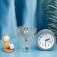4 pc Plastic Necklace Pendant Display Frosted for Jewelry Display Clear ...