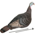 Hunters Specialties Strut-Lite Hen Turkey Decoy - Walmart.com