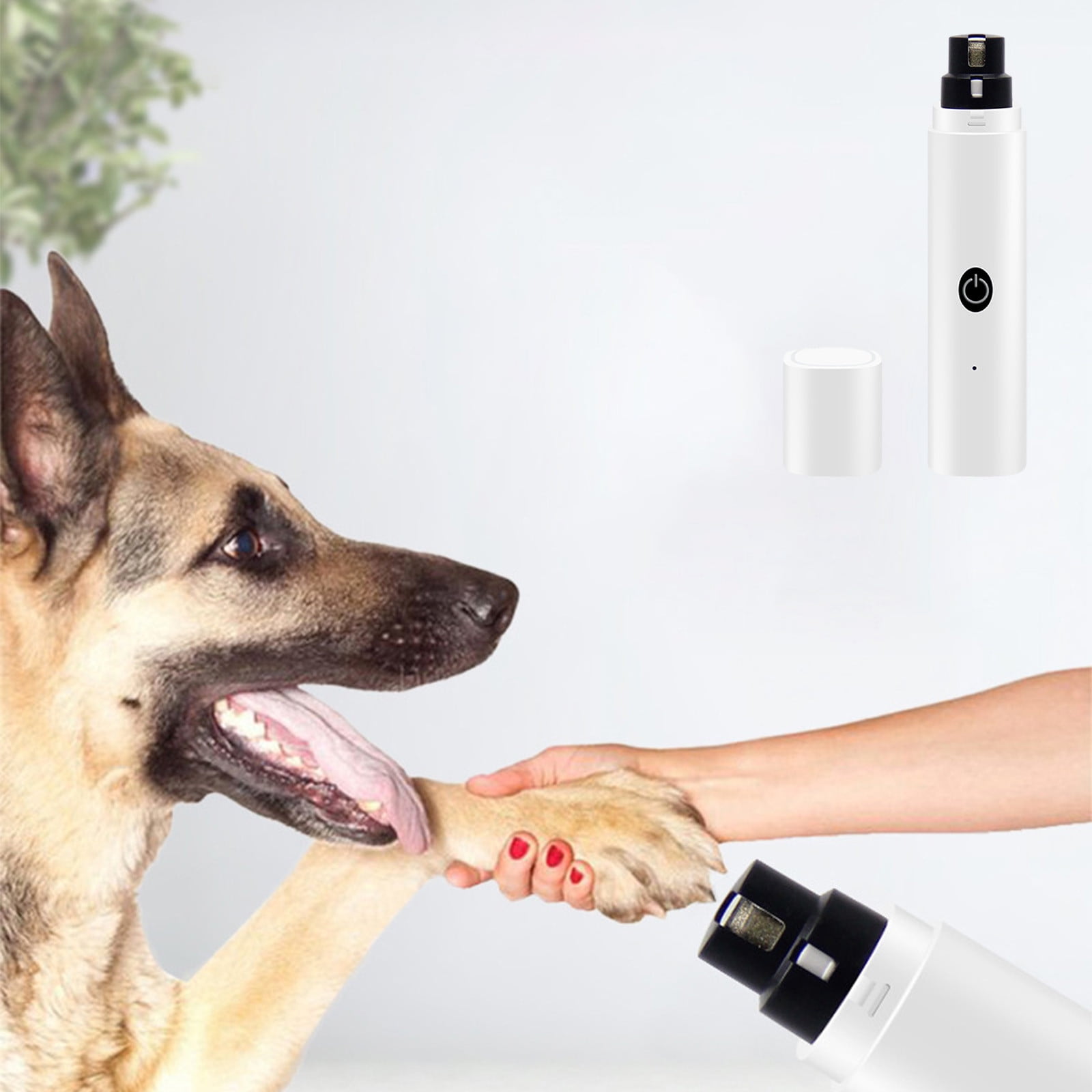 Click here for Kcavykas Pet Supplies  Dog Supplies Dog- 2-Speed A... prices