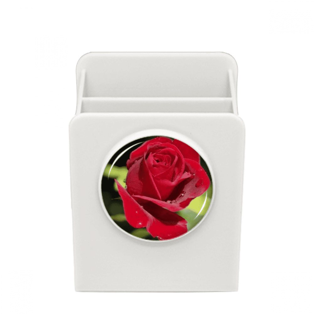 Dark Red Roses Flowers Art Deco Fashion Desk Pencil Holder Cup Pen ...