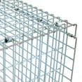 ZYPPP 32"x12.5"x12" Humane Live Animal Trap Cage Heavy Duty Steel for ...