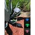 Solar Wholesale 1047-2 Solaration Rose Solar Lights, Pack of 2 ...