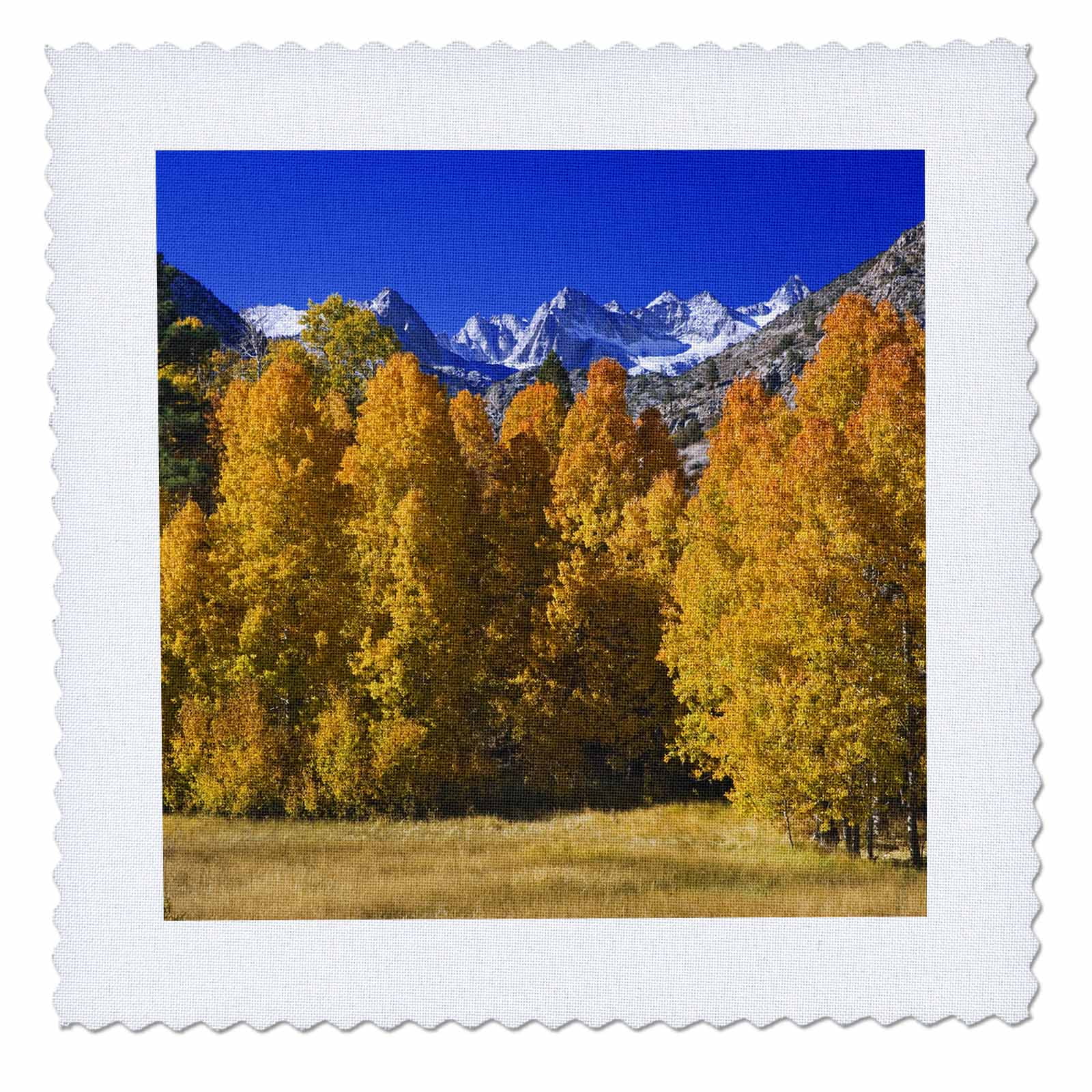 3dRose California, Sierra Nevadas, Aspen trees, Autumn - US05 BJA0381 ...
