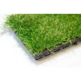 Zoysia Plugs - 50 Full & Lush Grass Plants with Mature Roots Ready to ...