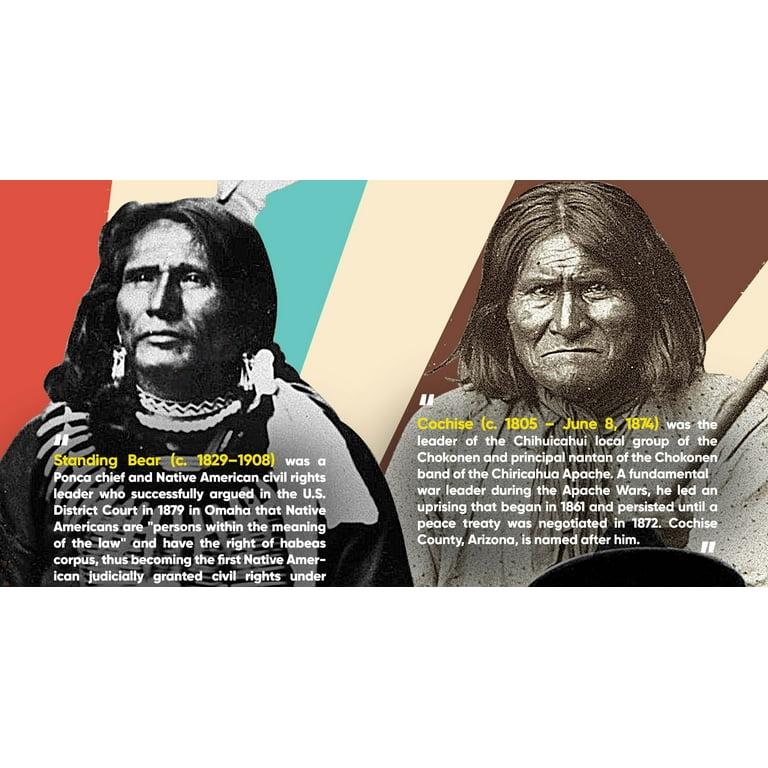 Native American Indian Beard