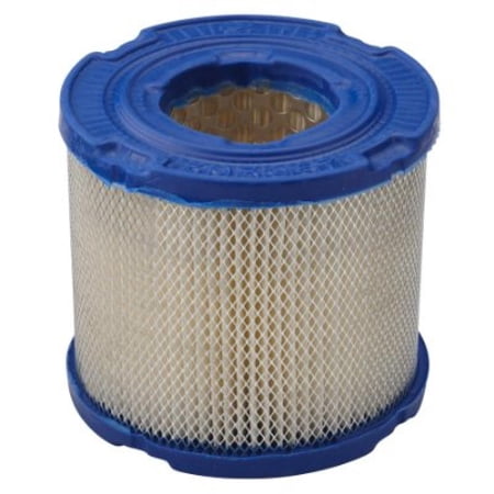 Briggs & Stratton 393957S Round Air Filter Cartridge | Walmart Canada