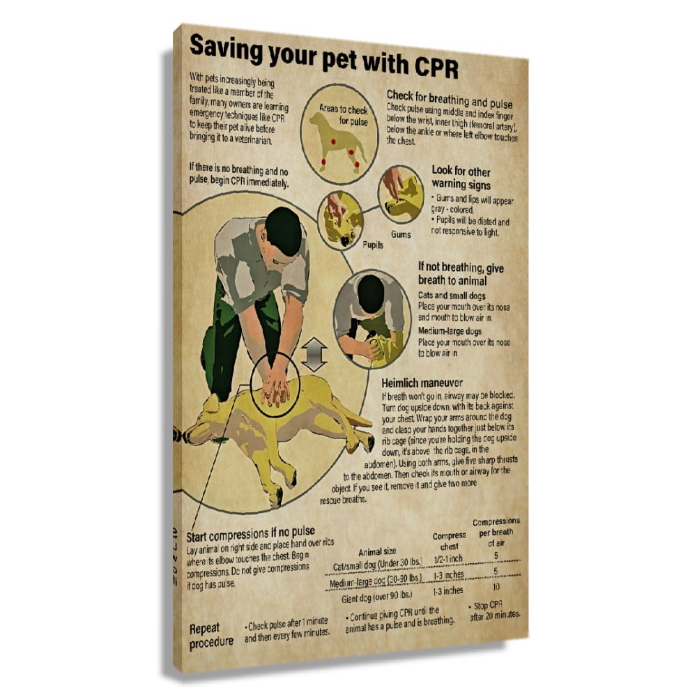 Cpr Knowledge Posters For Wall Decor Art Bathroom Painting Pictures For ...