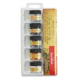 Speedball Pigmented Acrylic Ink Palette Set, 5-Color Set - Walmart.com