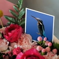 3drose, a Beautiful Diving Water Bird Vector, 6 Greeting Cards with ...