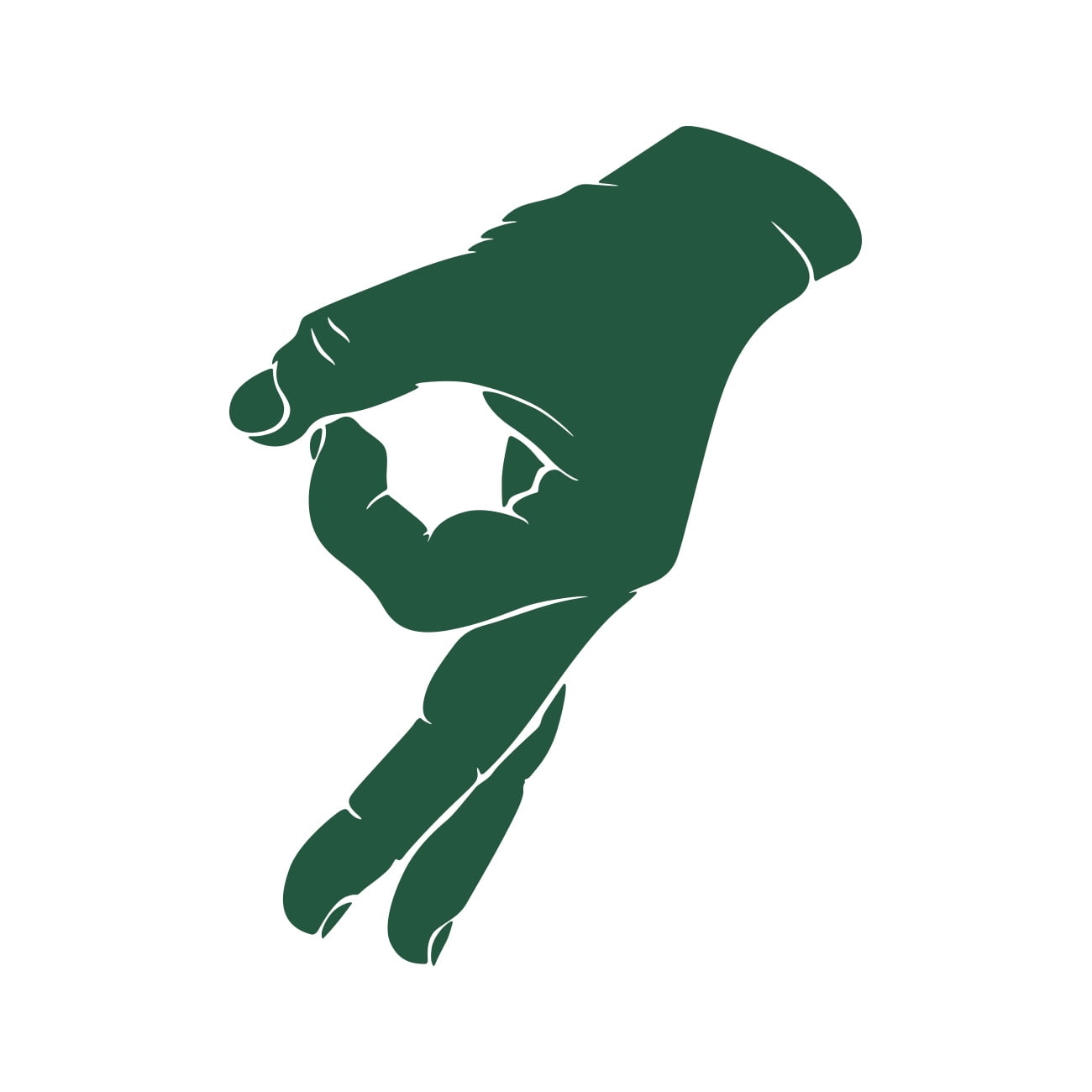 Made You Look Hand Sticker Decal Die Cut - Self Adhesive Vinyl ...