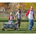 Free Shipping! Coleman Heavy Duty Collapsible Folding Camping Wagon ...