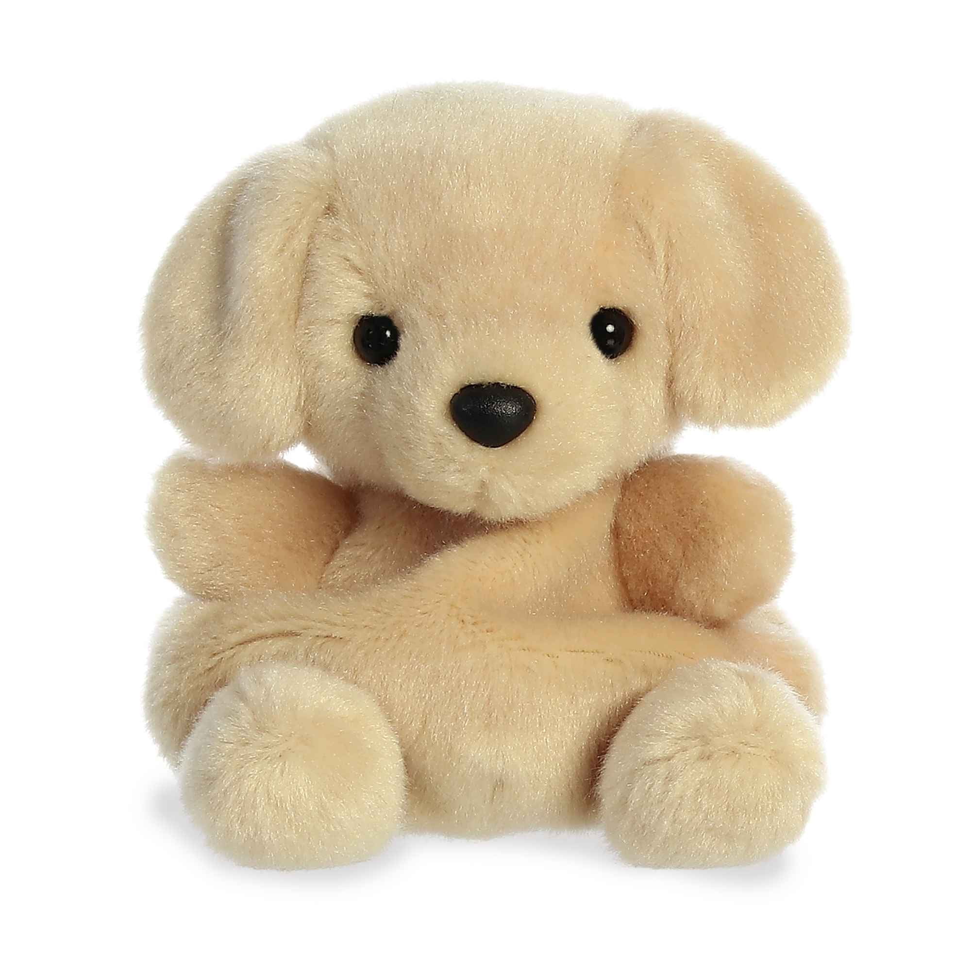 Click here for Aurora Palm Pals - Sunny Lab 5 prices