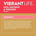 Vibrant Life Hog Grower Finisher Pellets 40 lb Complete Feed for Hogs ...