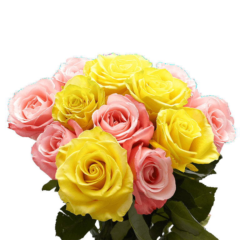 Beautiful Yellow And Pink Roses