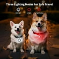 2 Pack LED Dog Collar Light, Rechargeable Dog Lights for Night Walking ...