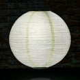 12" Biege / Ivory Fine Line Premium Even Ribbing Paper Lantern, Extra ...